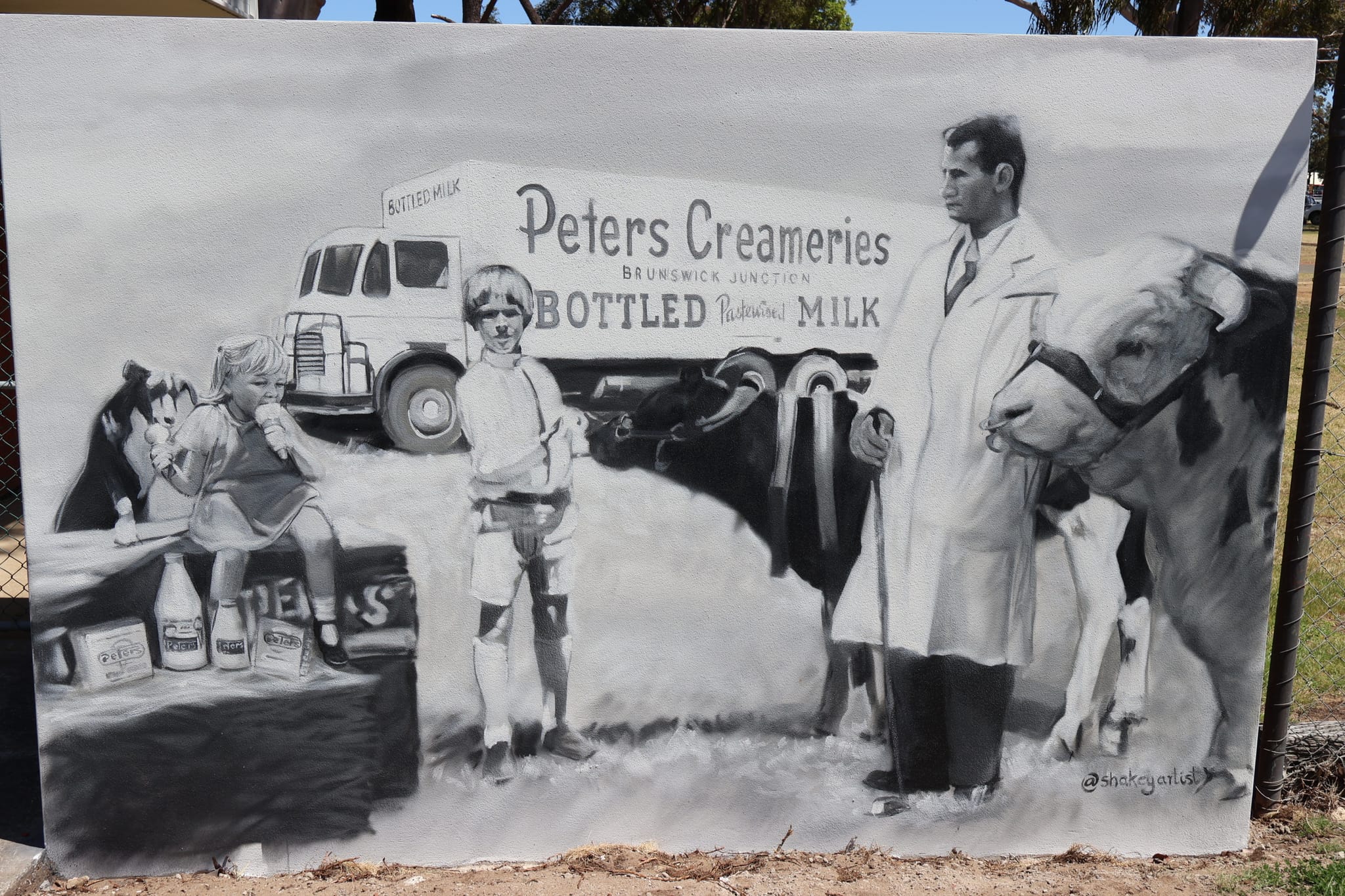 Memories of Brunswick Showgrounds Mural - Harvey Region