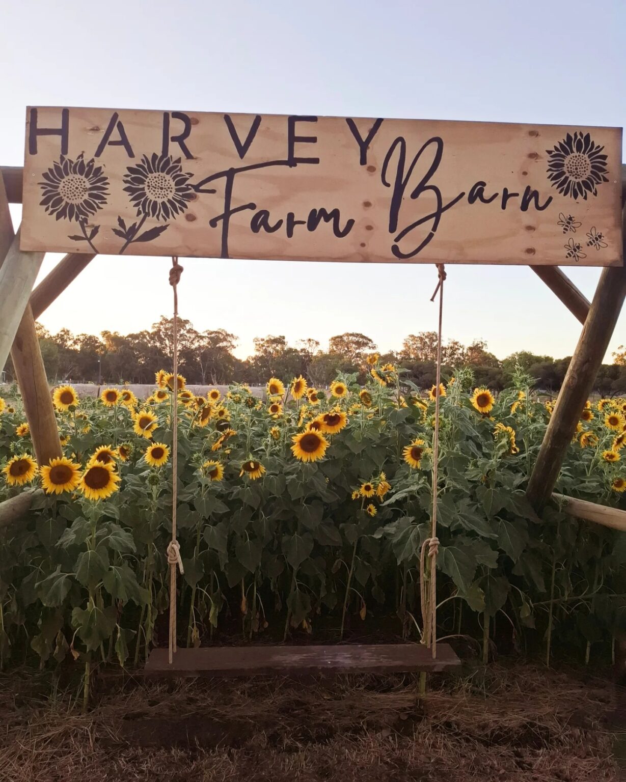 Harvey Farm Barn - Pick Your Own Flowers - Harvey Region